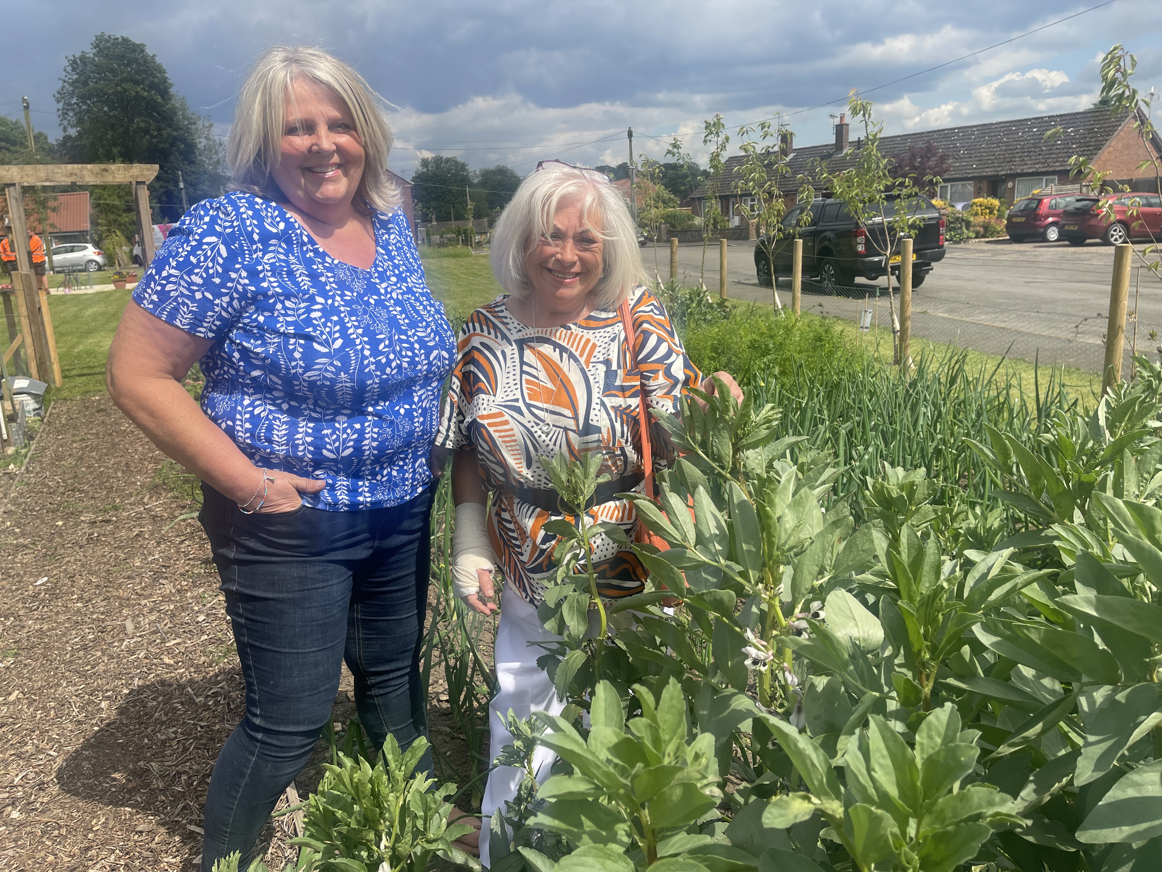 Volunteers turn green space into community garden